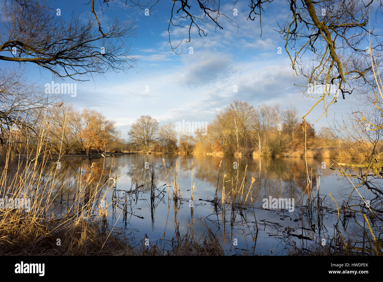 Sunny orange hi-res stock photography and images - Alamy