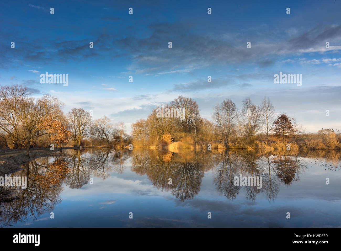 Sunny orange hi-res stock photography and images - Alamy