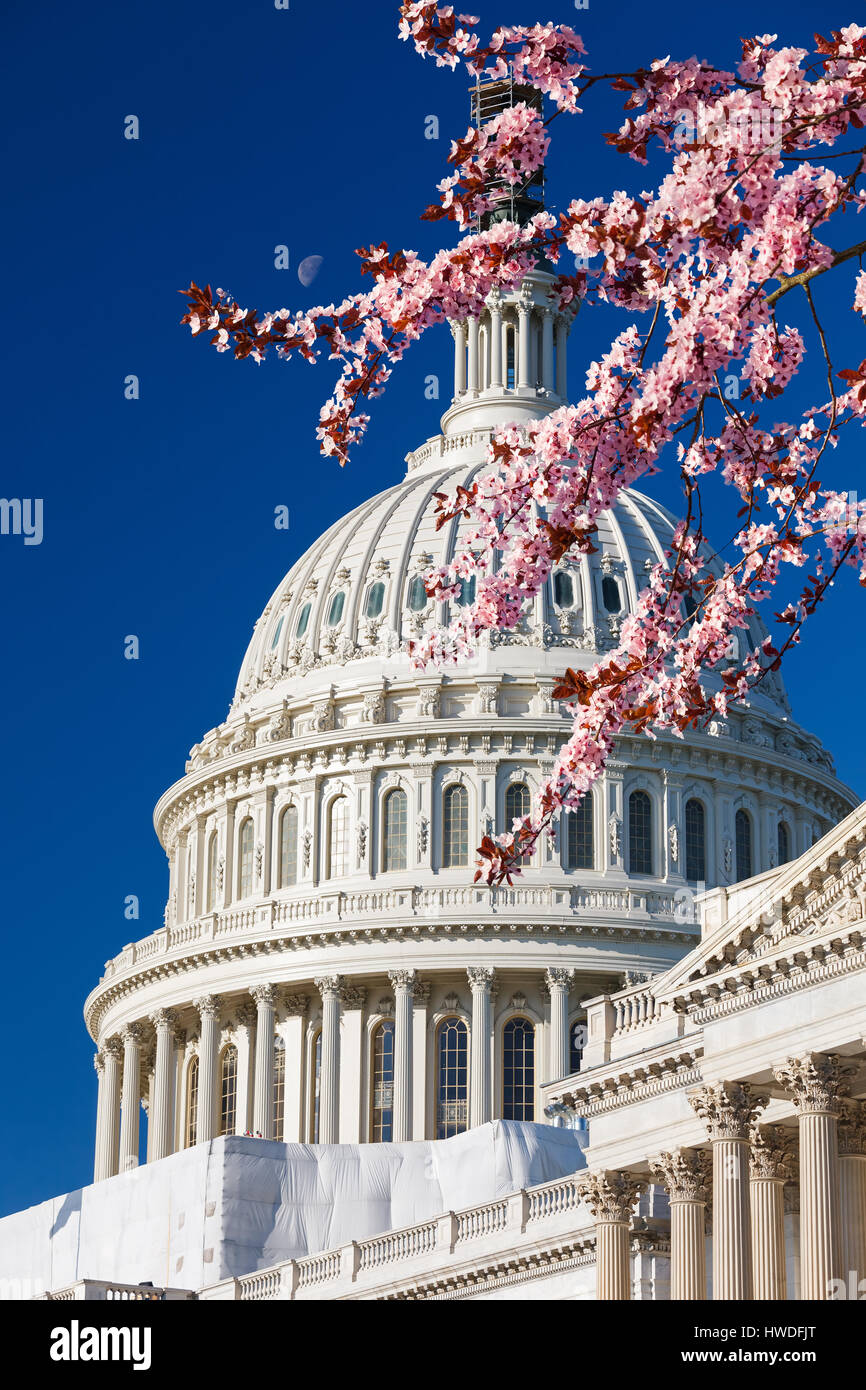 US Capitol at spring sunny day Stock Photo - Alamy