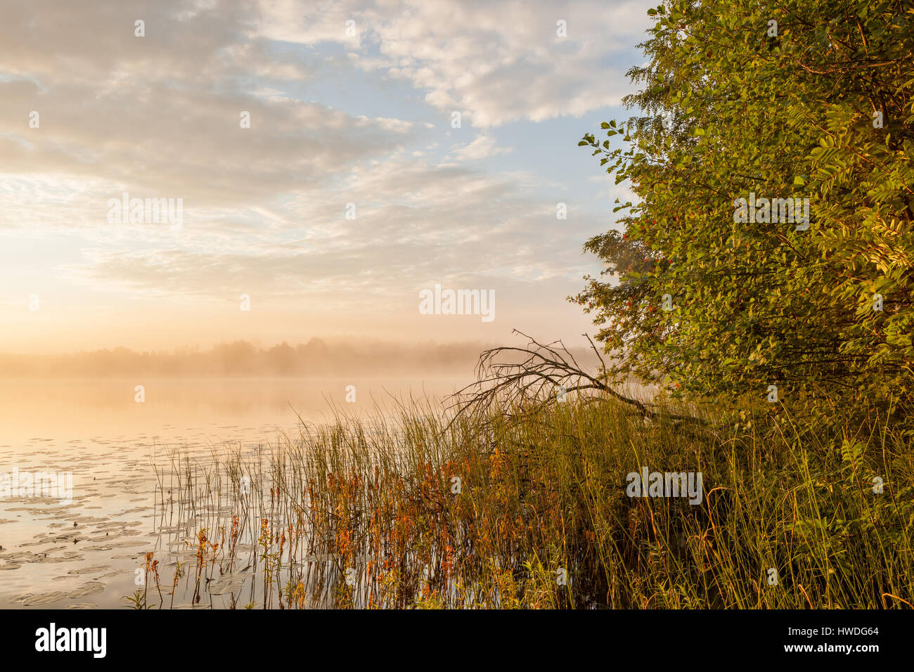 Sunrise at foggy lake Stock Photo - Alamy
