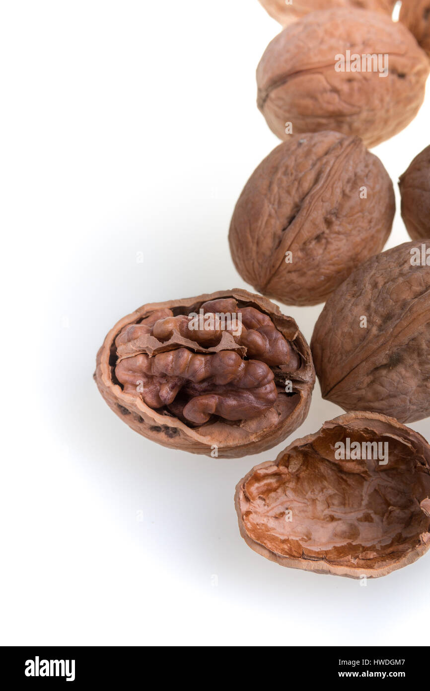 Walnut on a white background. Isolated. Dried nuts. Close up Stock ...