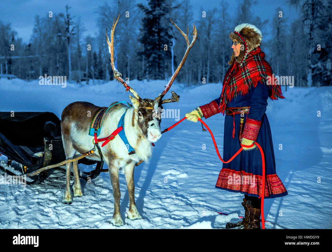 Animals of Finland Stock Photo - Alamy