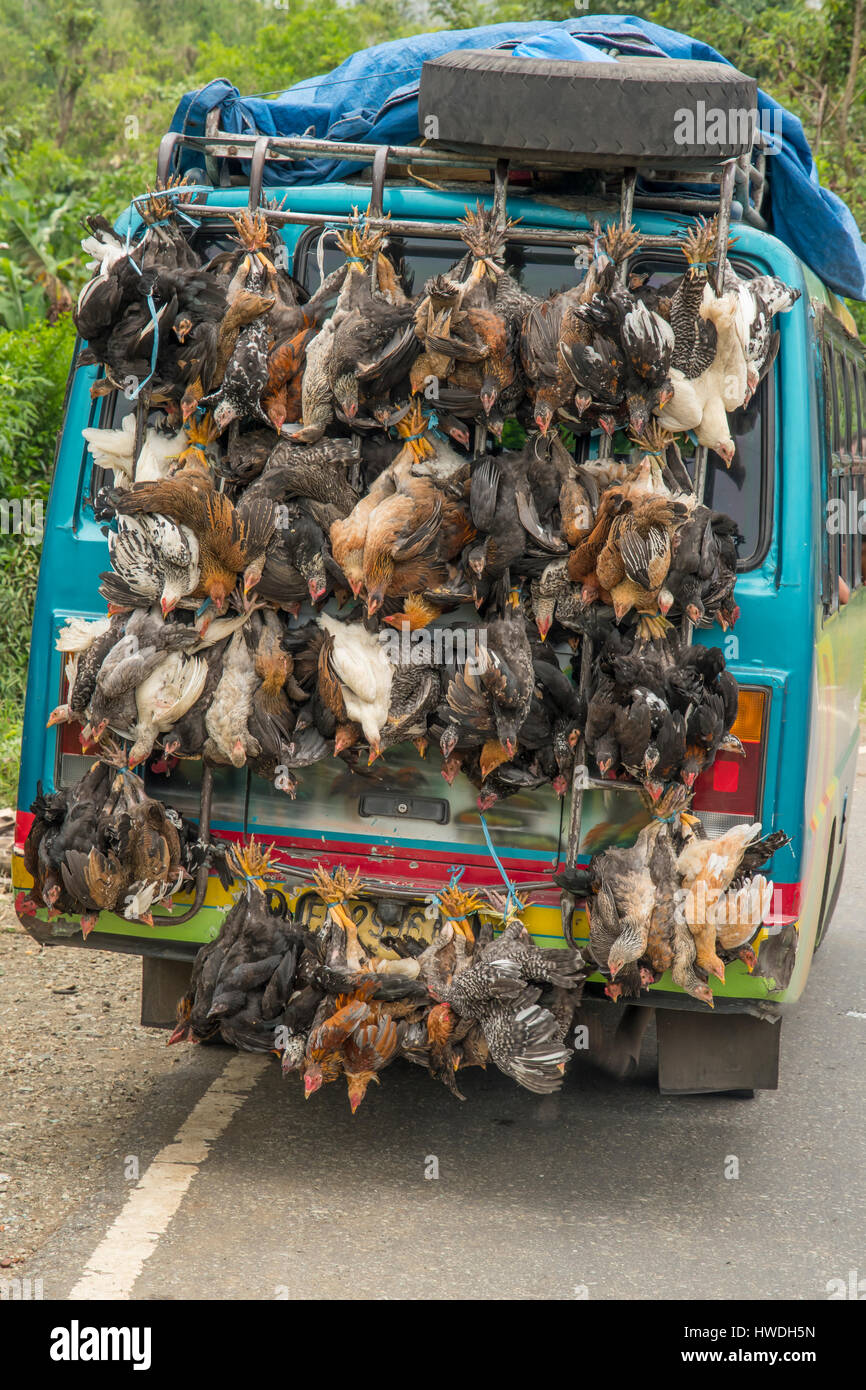 Chicken shop hi-res stock photography and images - Alamy