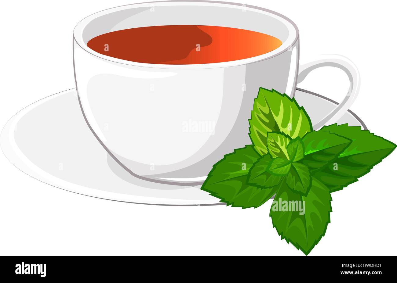 Food drink mint concept Stock Vector Images - Alamy