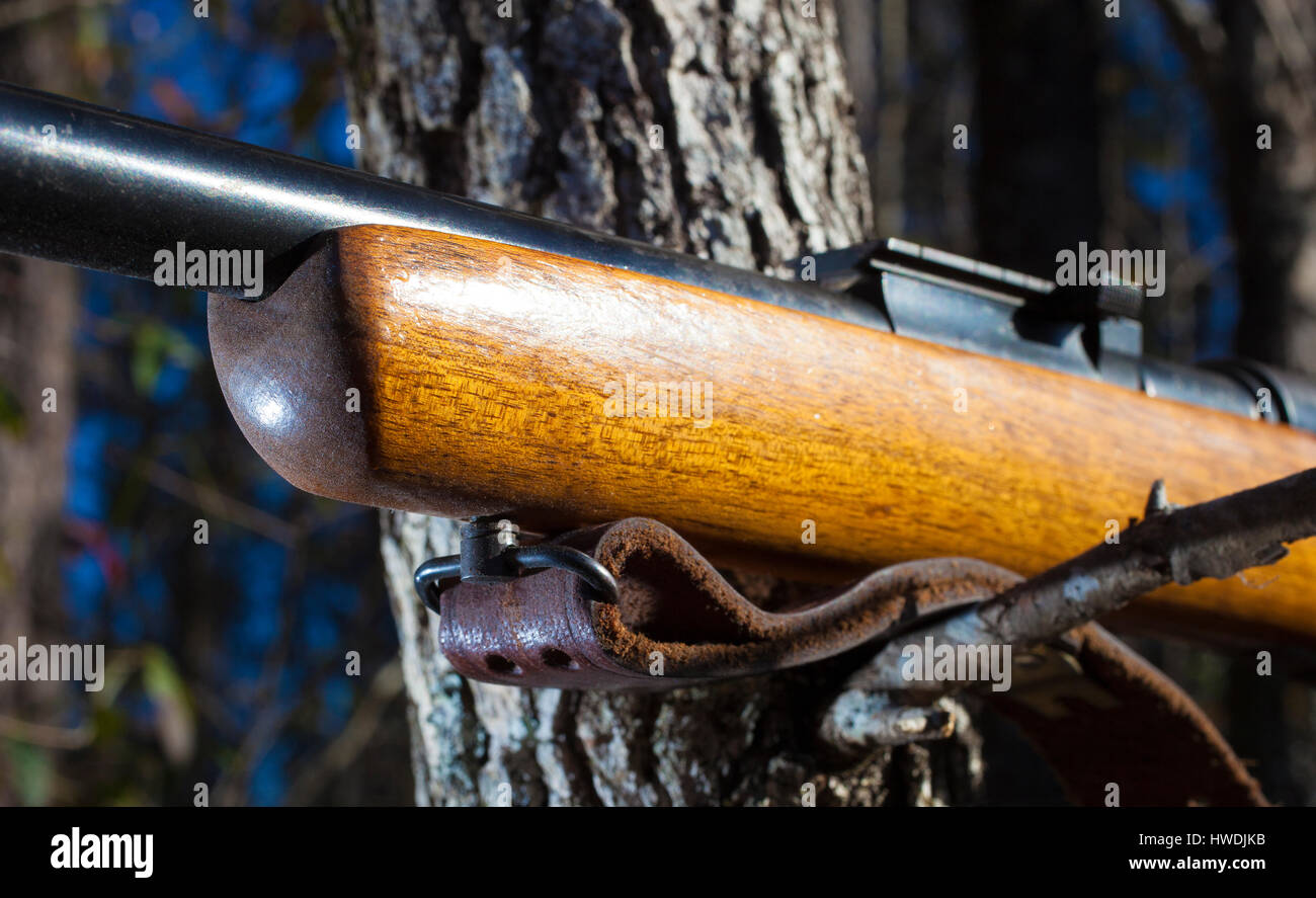 Wood rifle stock resting on a tree branch to steady a shot Stock Photo ...
