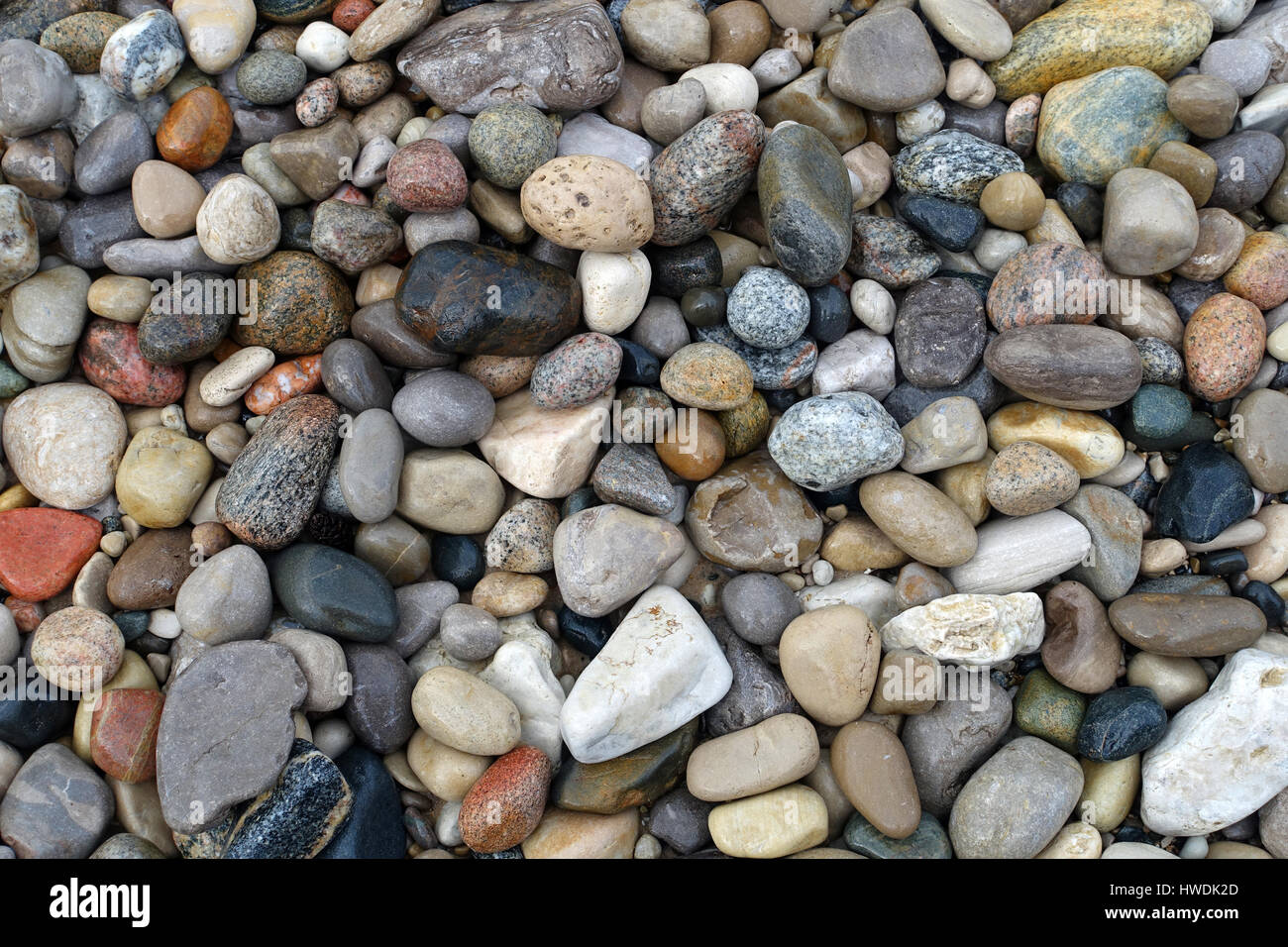 Looking down at a bunch of colorful, wet rocks and fossils Stock Photo ...