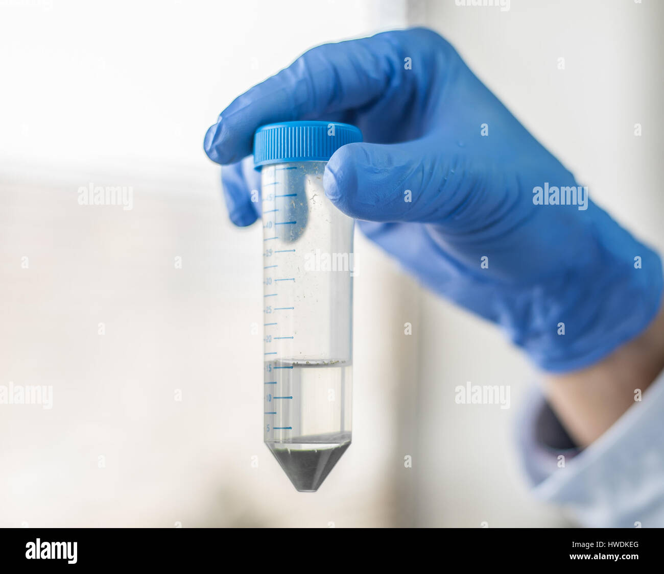 Lab technician holding a test tube with sample in the medical or ...