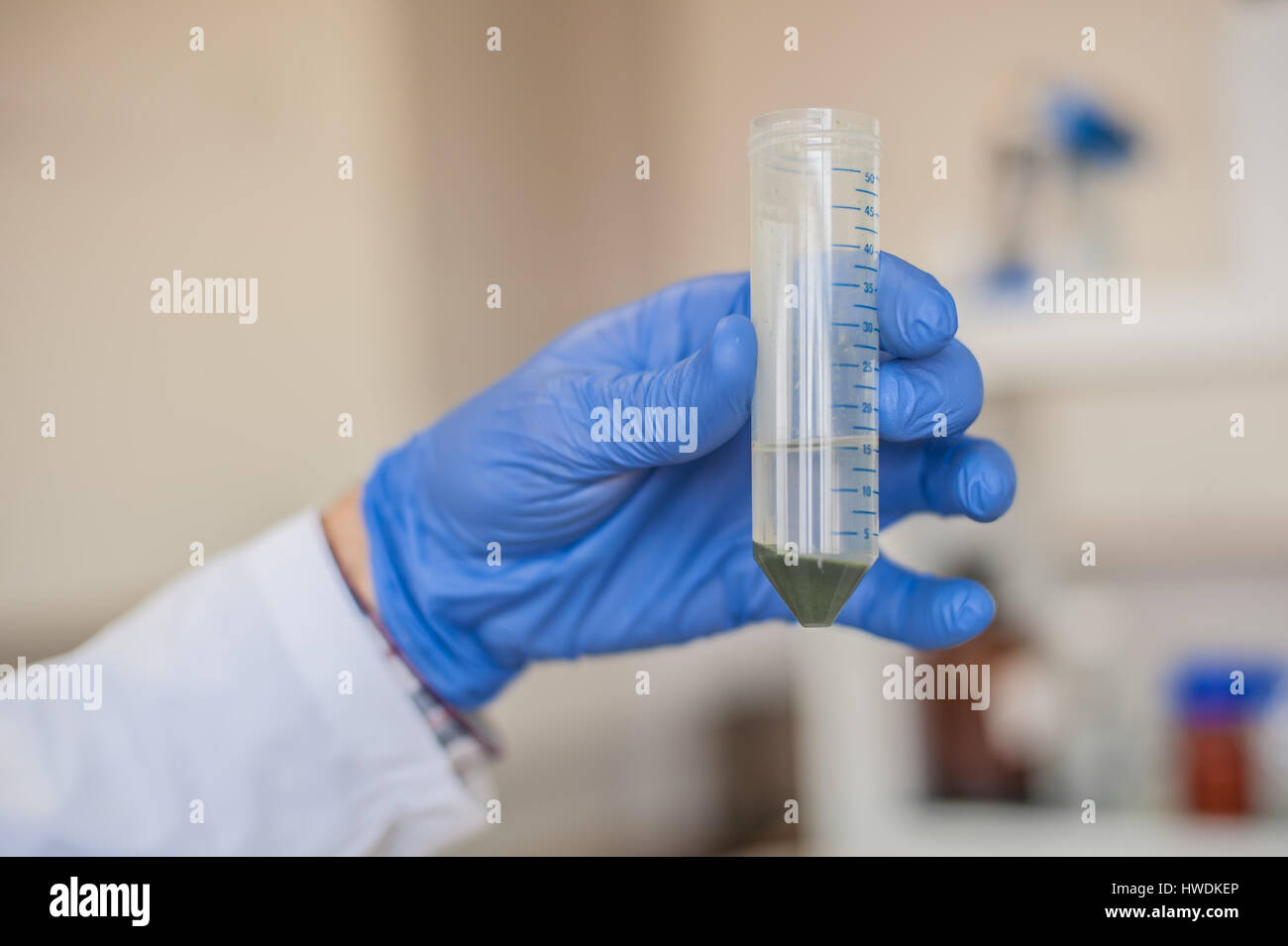 Lab technician holding a test tube with sample in the medical or ...