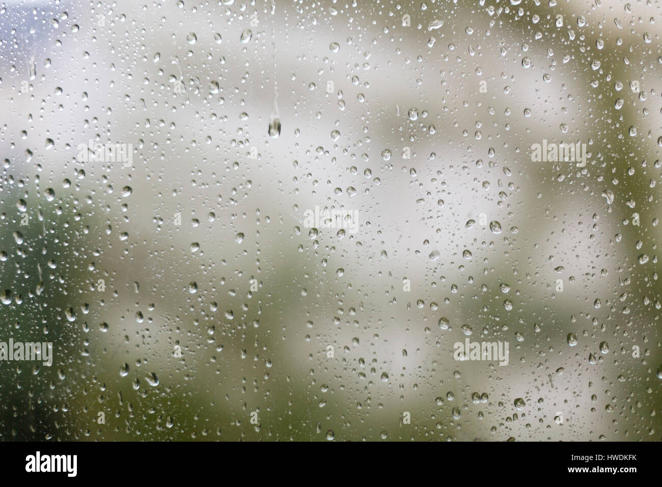 raindrops on a window, for backgrounds Stock Photo - Alamy