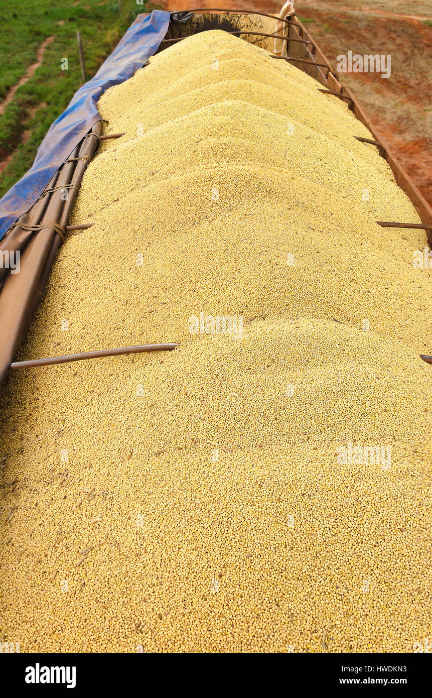 Truck soybeans hi-res stock photography and images - Alamy