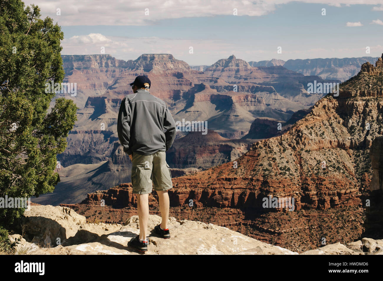 Man looking over edge, rear view, Grand Canyon, Arizona, USA Stock ...