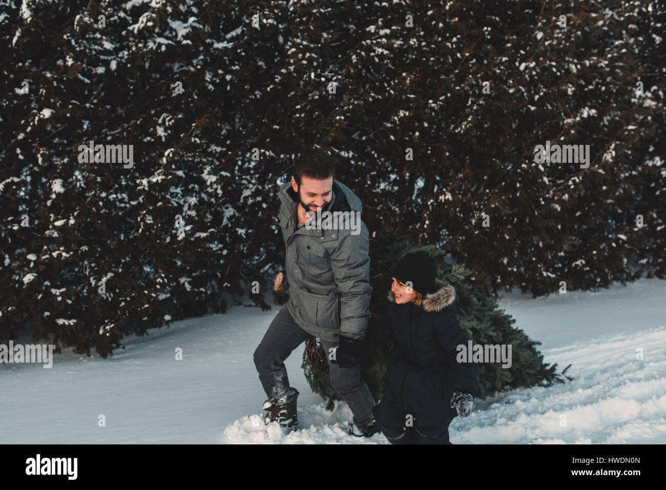 Father and daughter out getting their own Christmas tree Stock Photo ...