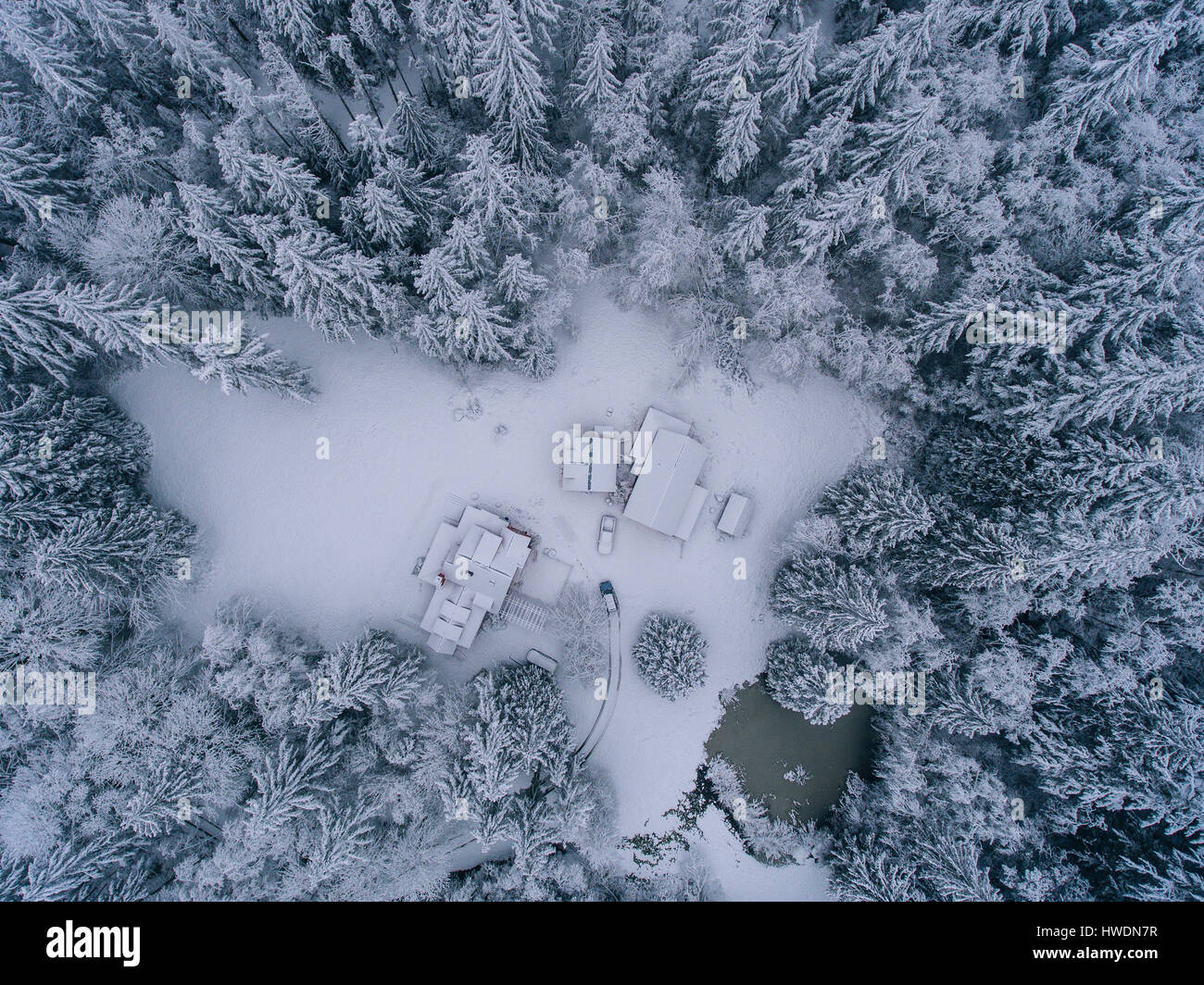 Overhead and elevated view of forest at day hi-res stock photography ...
