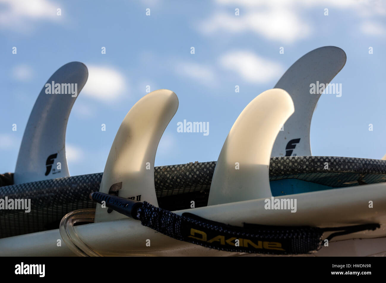 NC00673-00...North Carolina - Surfboards on the Outer Banks, Cape ...