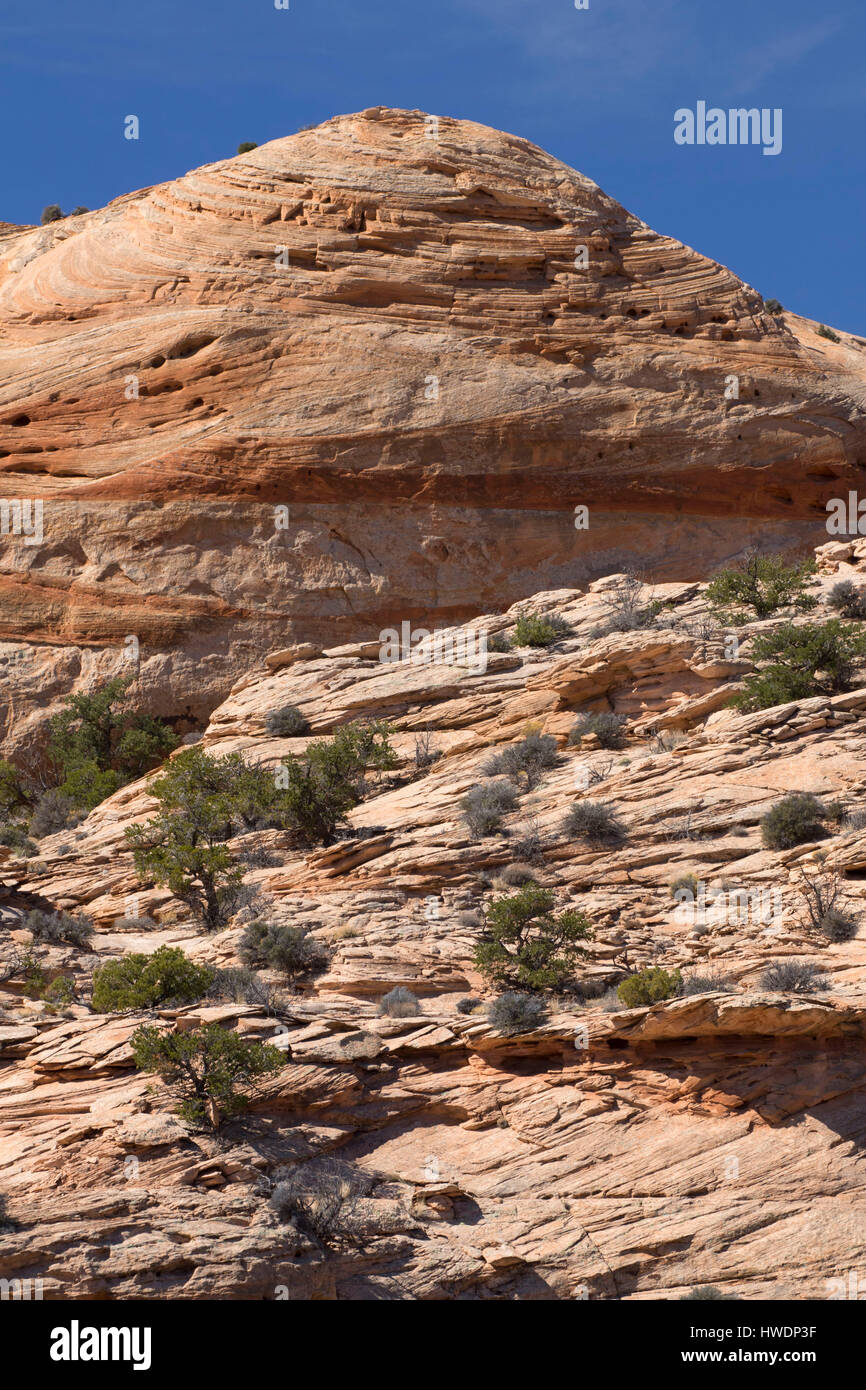 Sandstone outcrop, Canyonlands National Park, Utah Stock Photo - Alamy