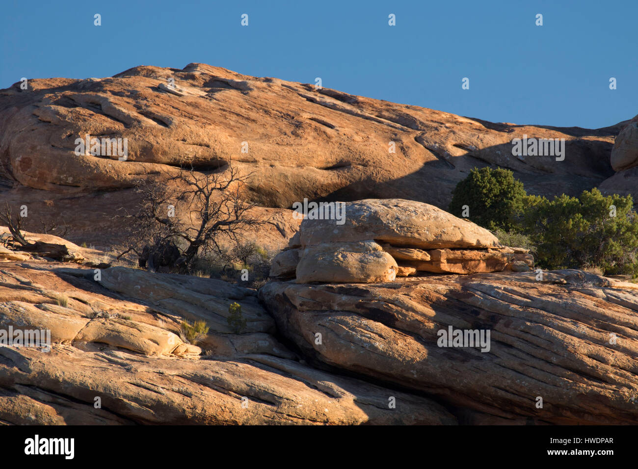 Sandstone outcrop near Big Spring Canyon, Canyonlands National Park ...