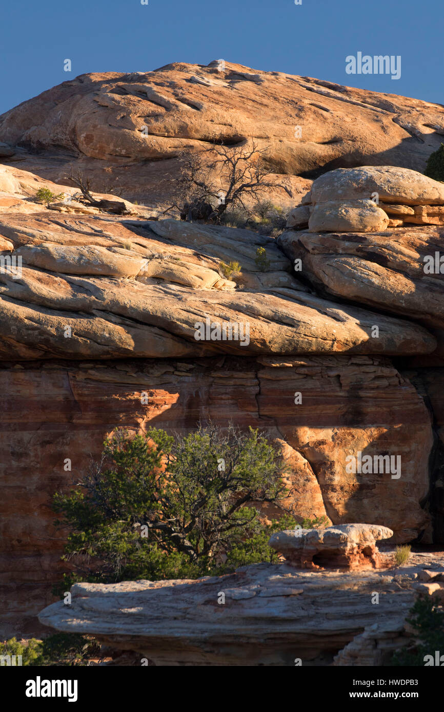 Sandstone outcrop near Big Spring Canyon, Canyonlands National Park ...