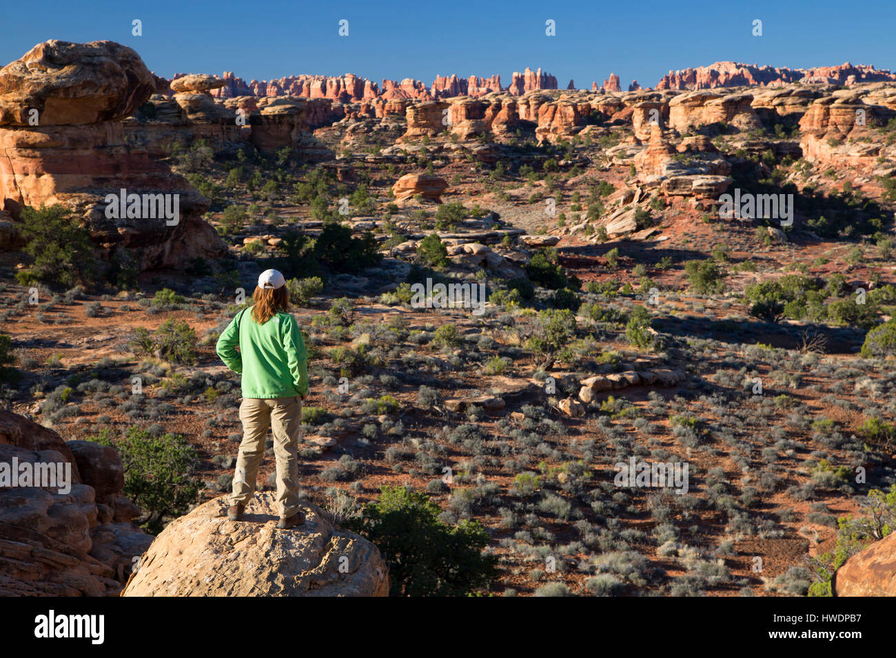 High desert hi-res stock photography and images - Alamy