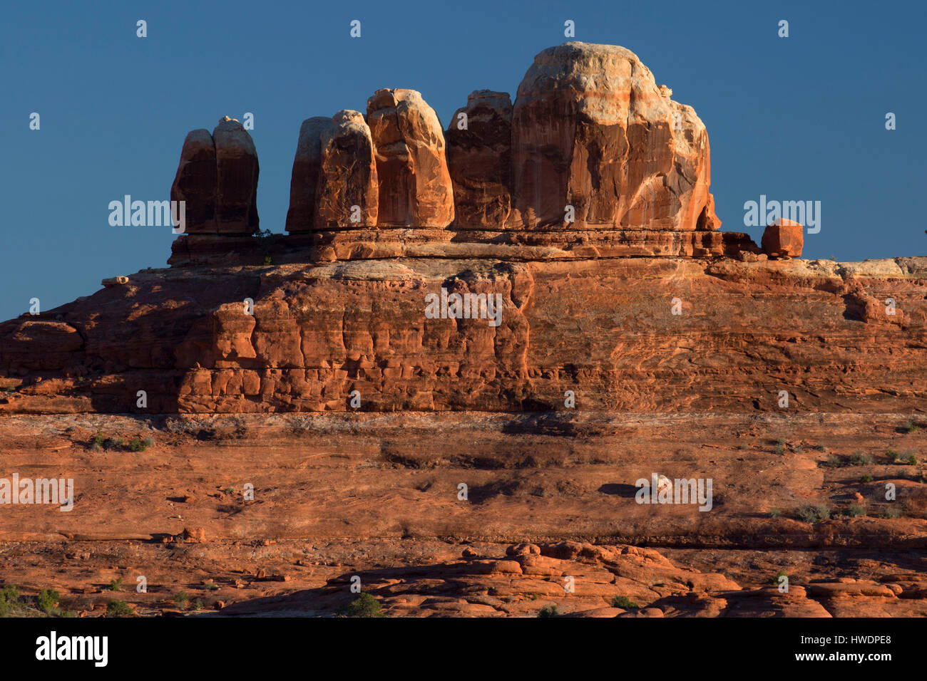 Sandstone outcrop, Canyonlands National Park, Utah Stock Photo - Alamy