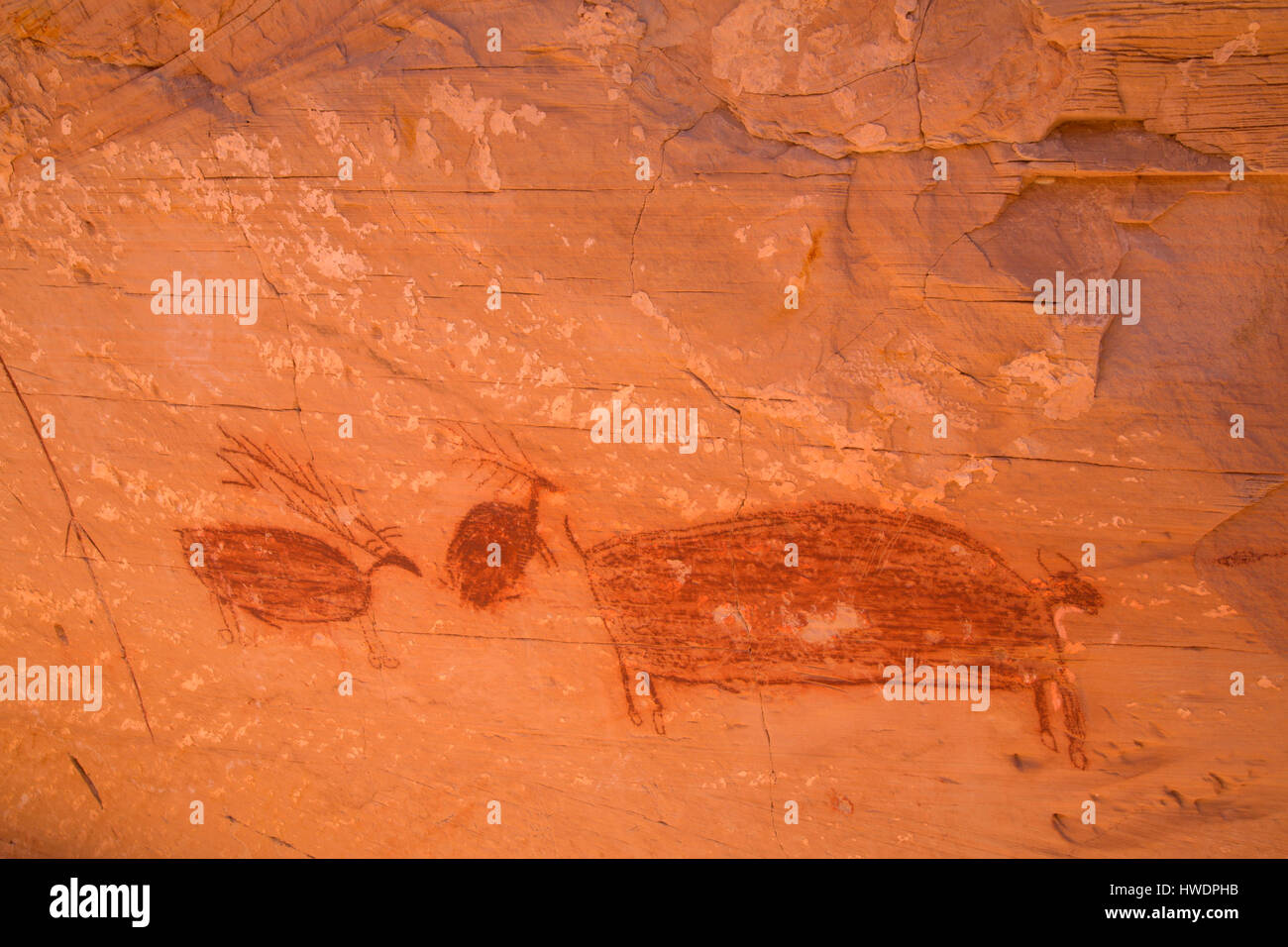The Horseshoe Gallery along Horseshoe Canyon Trail, Canyonlands ...