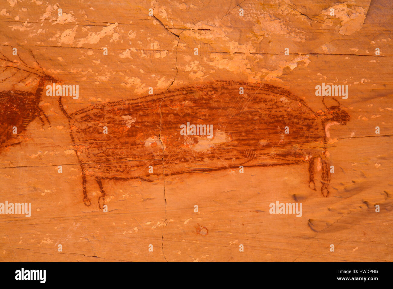 The Horseshoe Gallery along Horseshoe Canyon Trail, Canyonlands ...