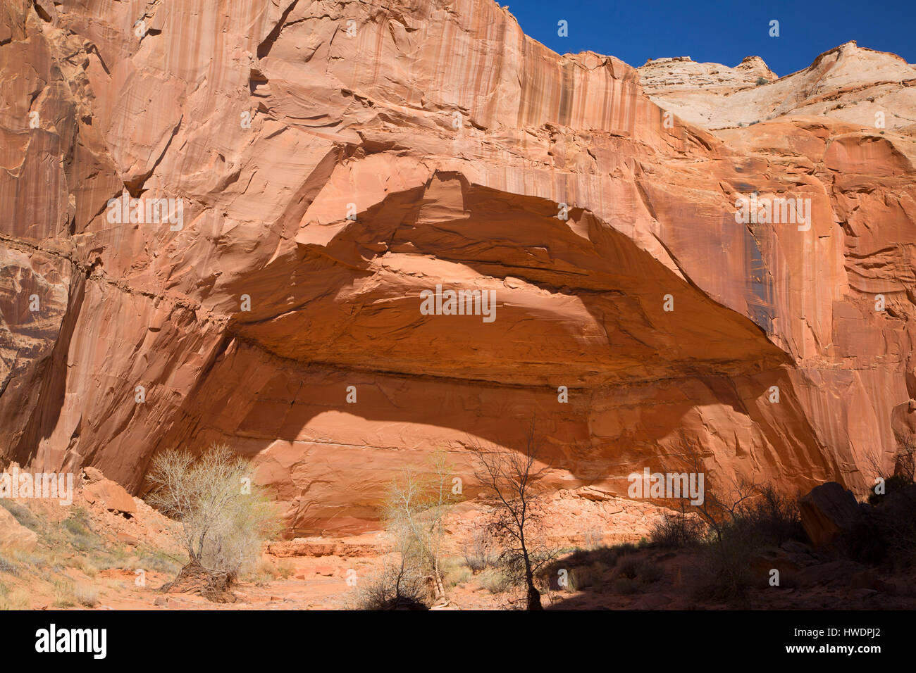 Alcove in Horseshoe Canyon, Canyonlands National Park-Horseshoe Canyon ...