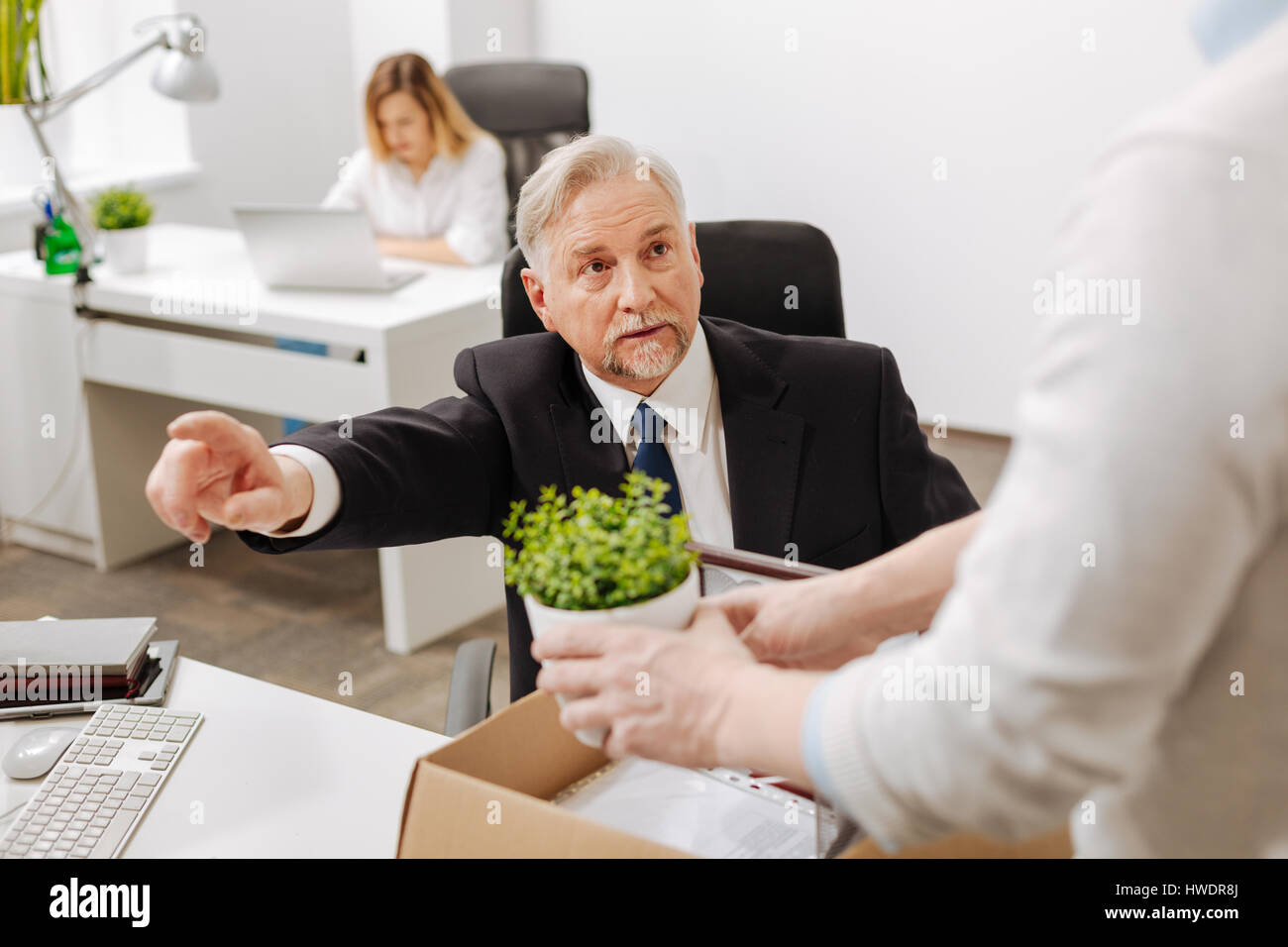Aged bearded employer firing manager from the company Stock Photo - Alamy