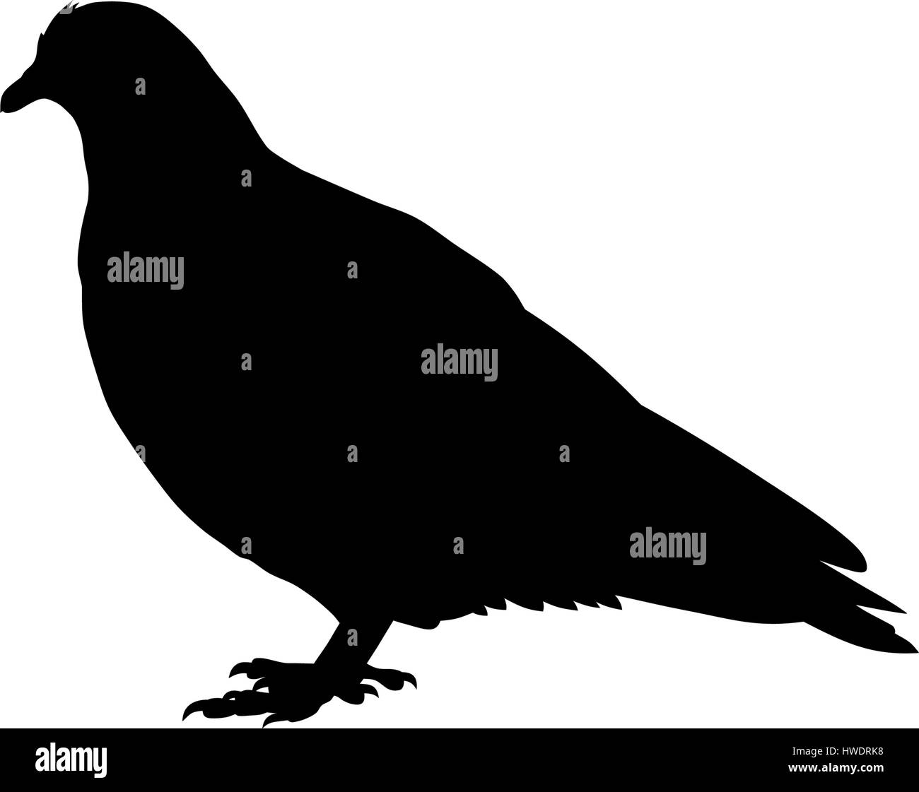 Dove outline silhouette hi-res stock photography and images - Alamy