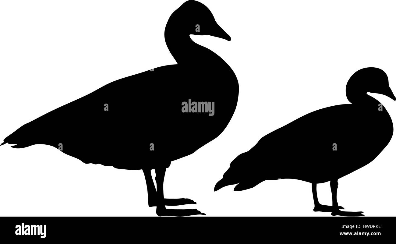 Vector illustration of wild geese silhouettes Stock Vector Image & Art ...
