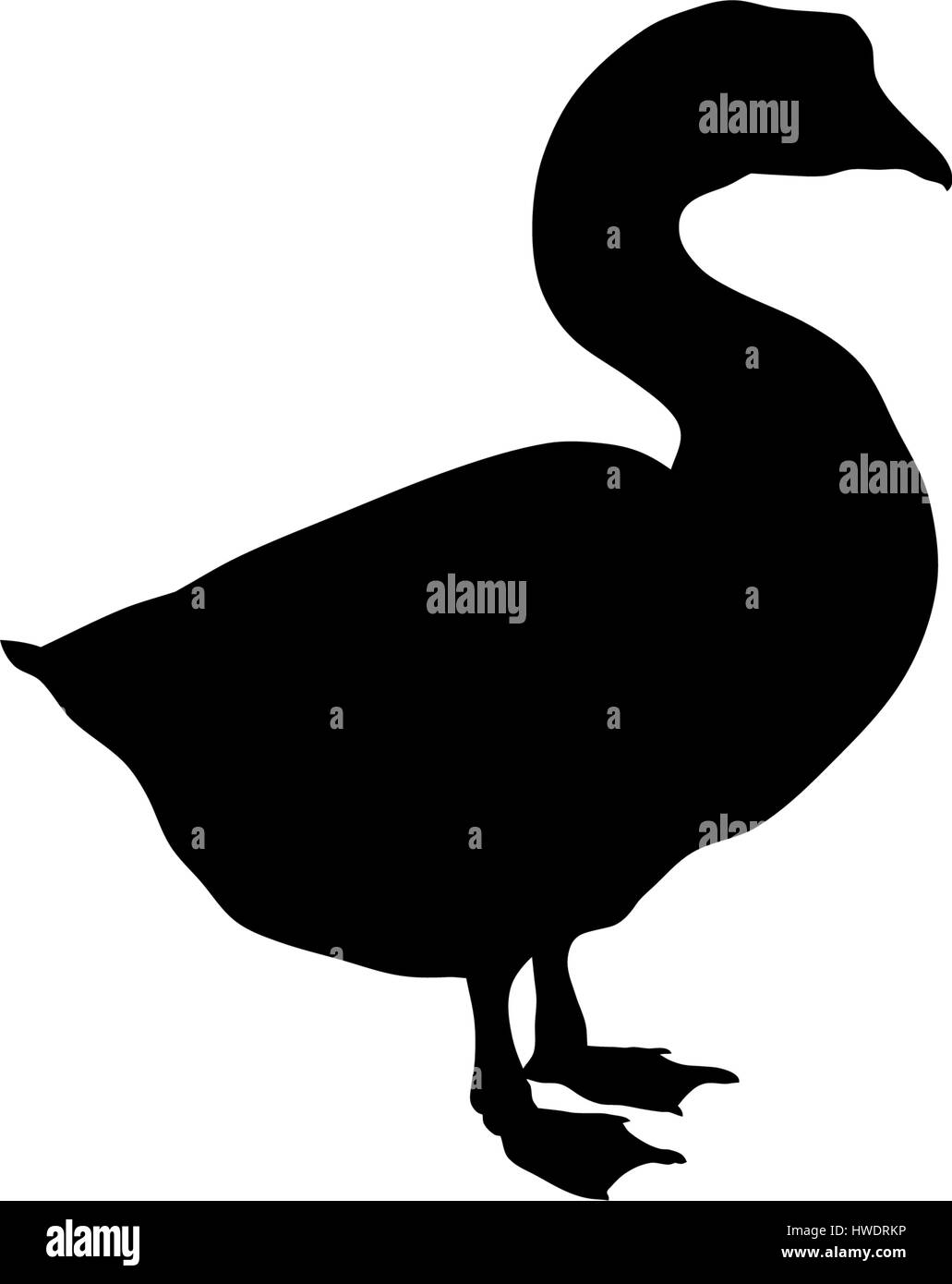 Vector illustration of goose silhouette Stock Vector Image & Art - Alamy