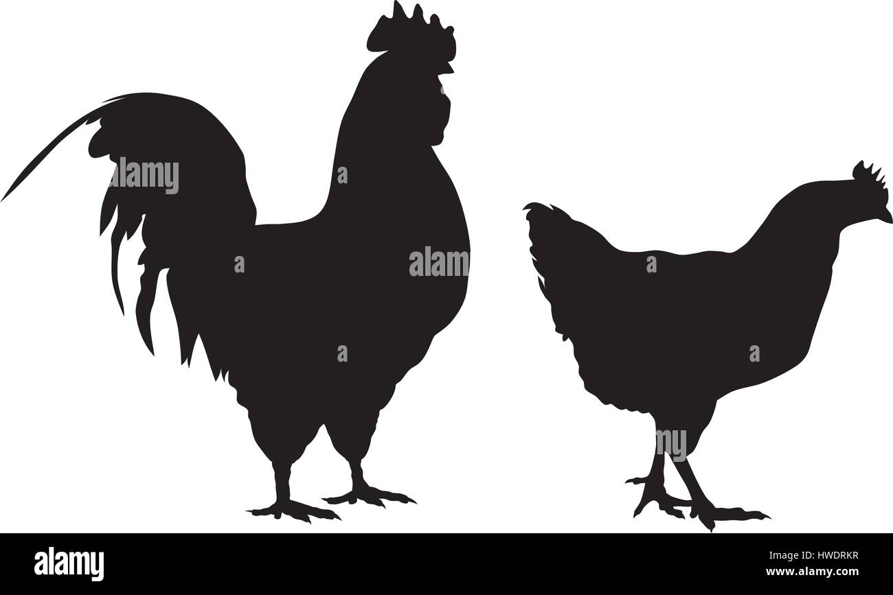 Abstract vector illustration of rooster and hen silhouettes Stock ...
