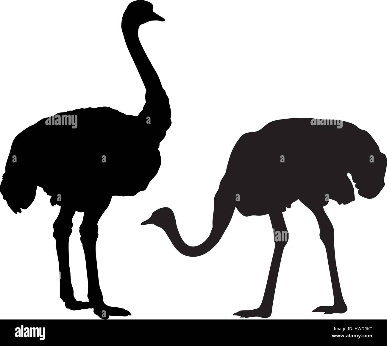 Australian vector vectors hi-res stock photography and images - Alamy