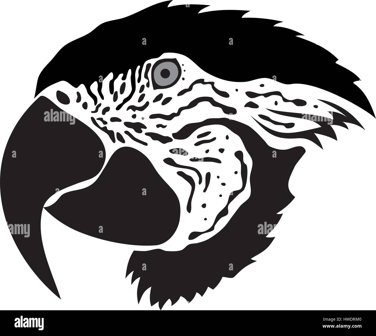 Parrot drawing Stock Vector Images - Alamy