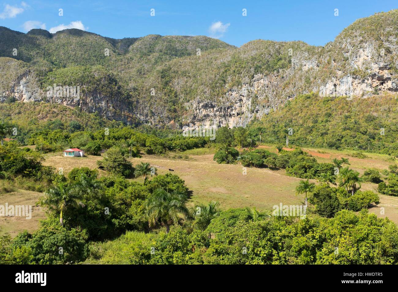 Cuba, Pinar del Rio Province, Vinales, Vinales National Parc, Vinales ...