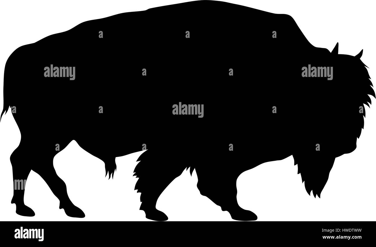 Vector illustration of buffalo silhouette Stock Vector Image & Art - Alamy
