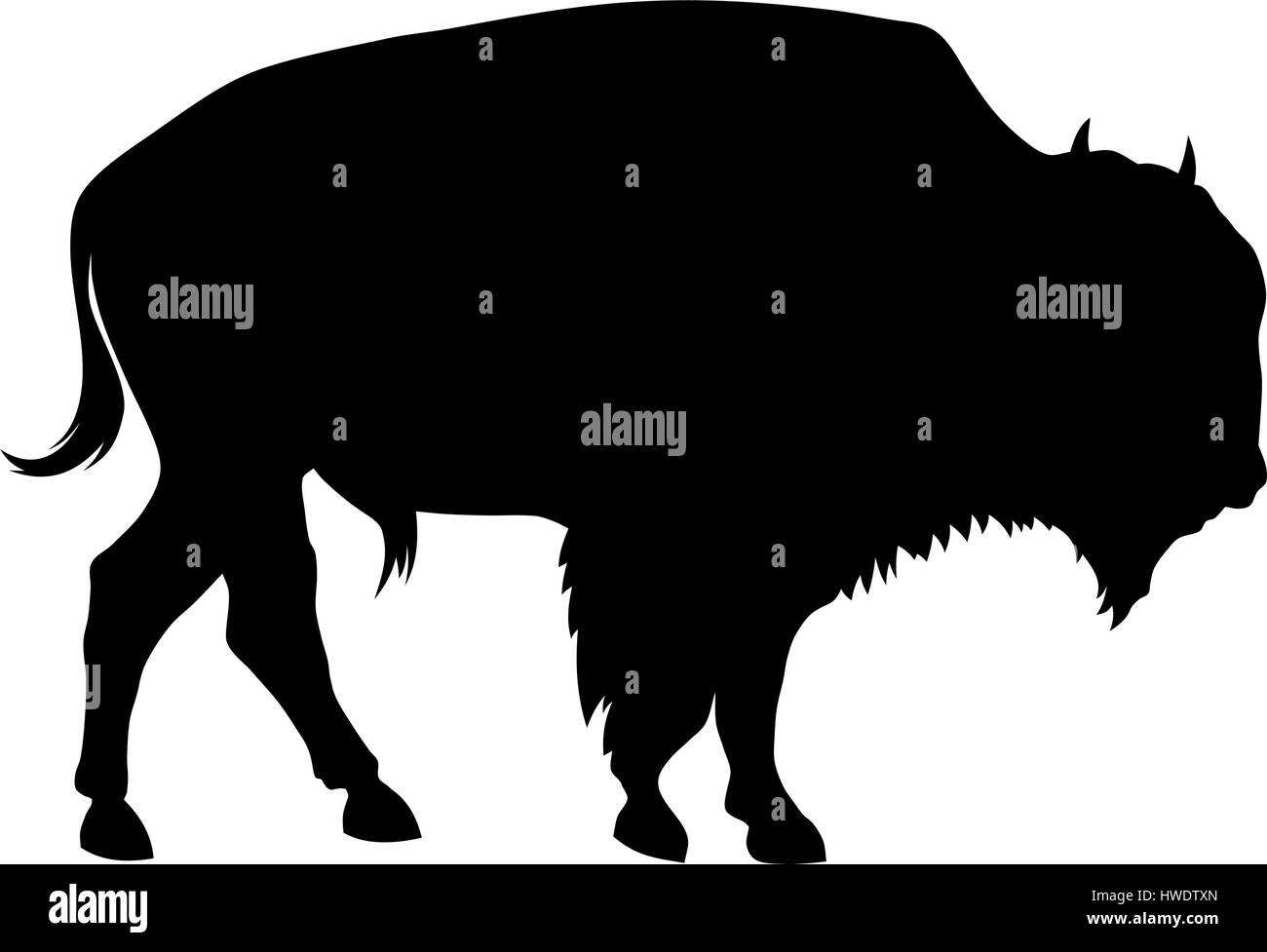Abstract vector illustration of buffalo Stock Vector Image & Art - Alamy