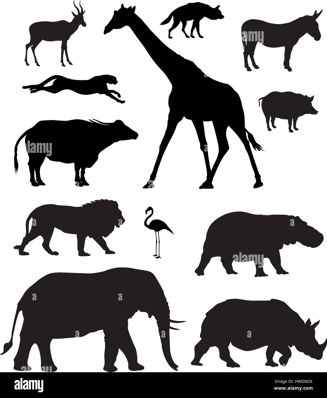 Vector illustration of various african animals Stock Vector Image & Art ...