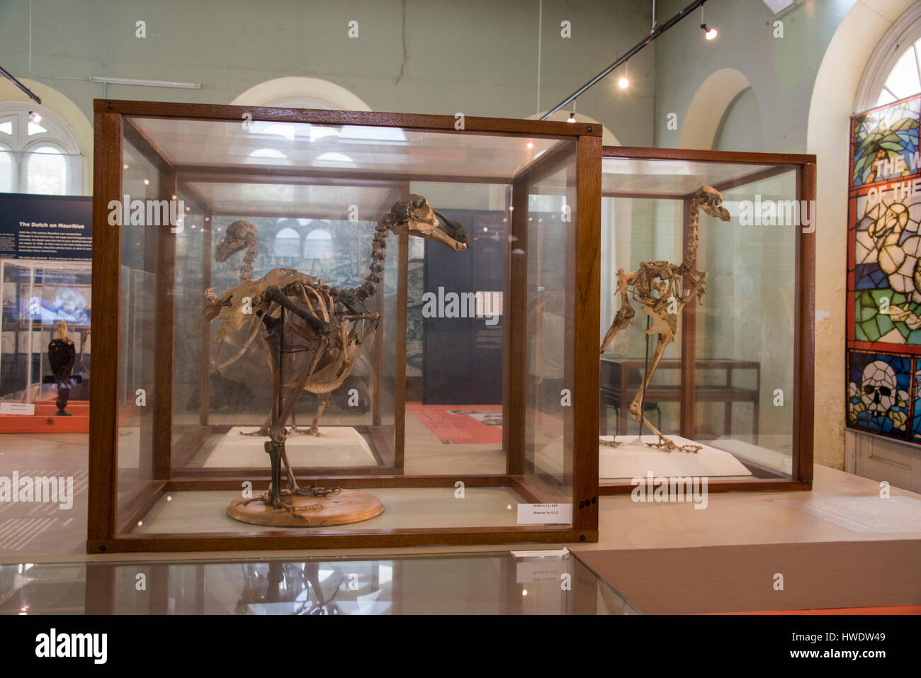 Mauritius, Capital city of Port Louis. Natural History Museum aka ...