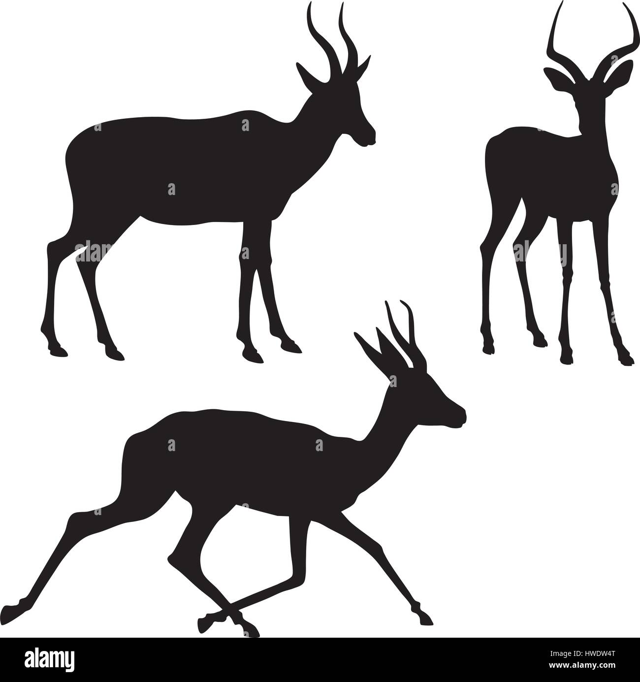 Antelope vectors hi-res stock photography and images - Alamy