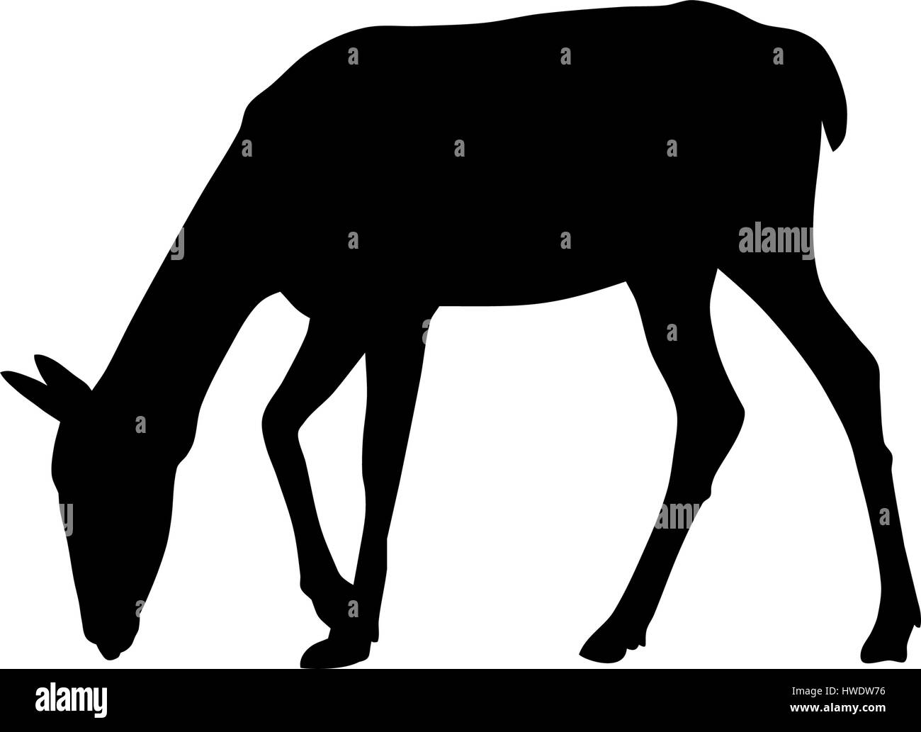 Vector illustration of roe silhouette Stock Vector Image & Art - Alamy