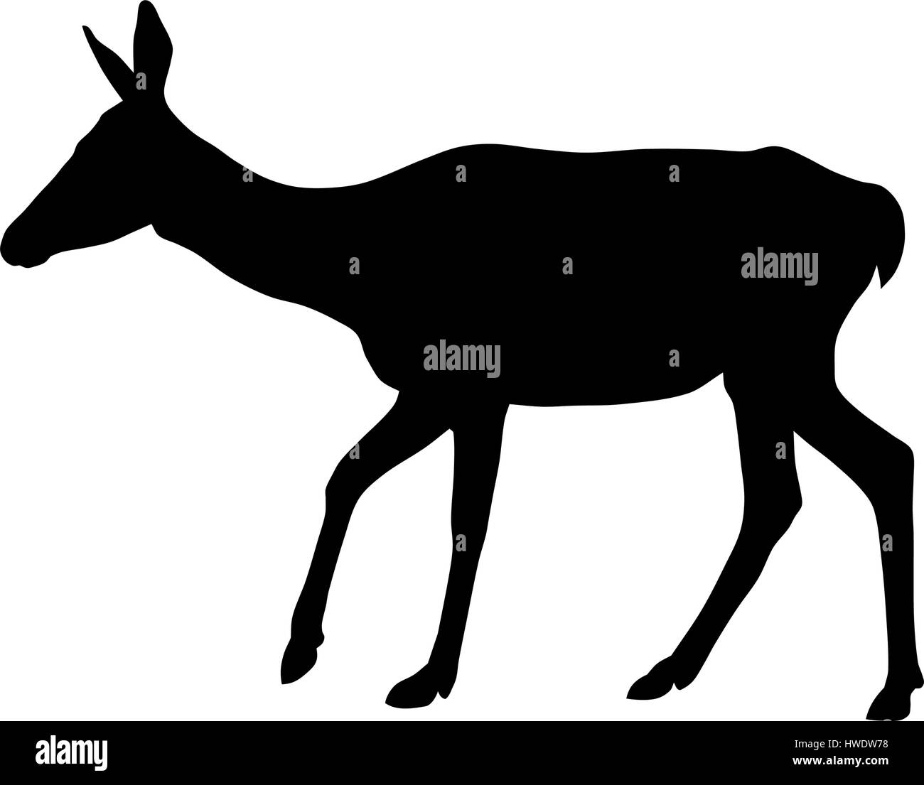 Vector illustration of roe silhouette Stock Vector Image & Art - Alamy
