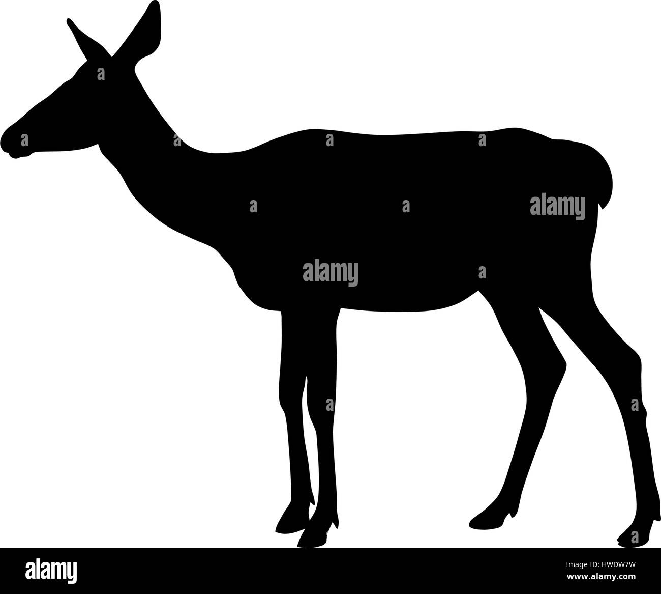 Vector illustration of roe silhouette Stock Vector Image & Art - Alamy