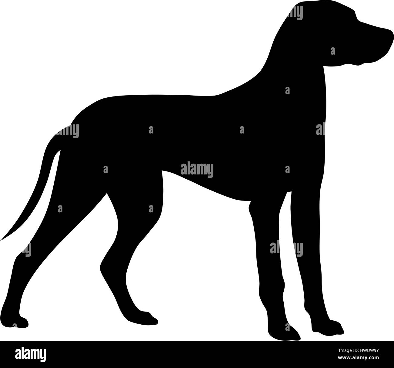 Hunting Dog Stock Vector Images - Alamy