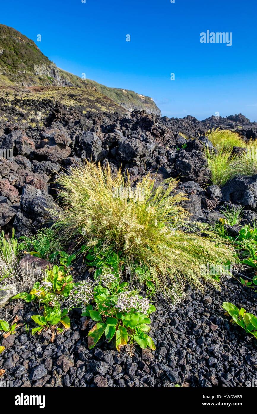 Portugal, Azores archipelago, Sao Miguel island, Ponta da Ferraria ...