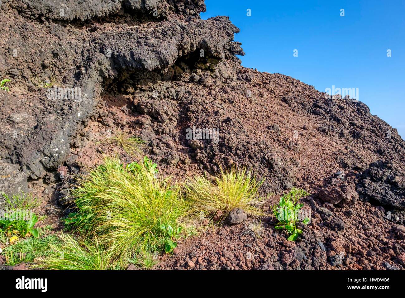 Portugal, Azores archipelago, Sao Miguel island, Ponta da Ferraria ...