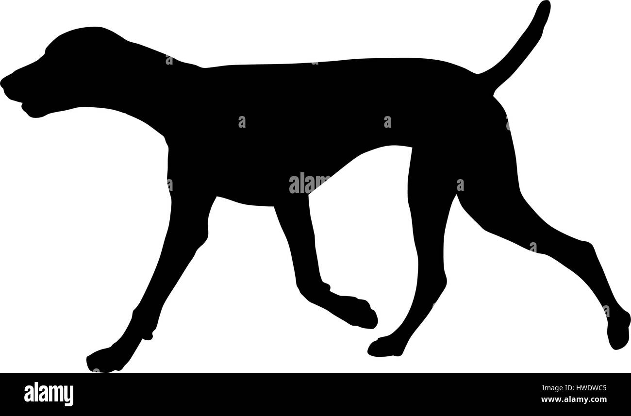 Doggy hair Black and White Stock Photos & Images - Alamy