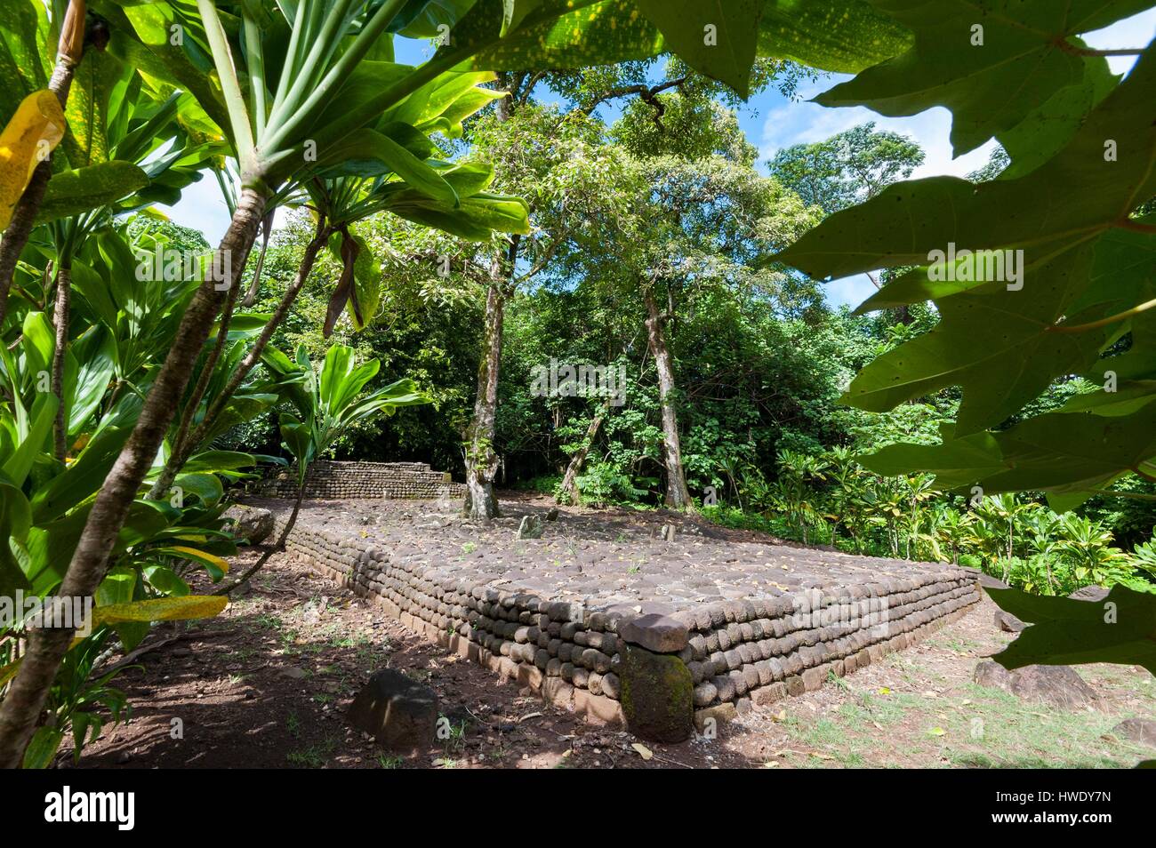 France, French Polynesia, Society Archipelago, Moorea Island, Opunohu ...