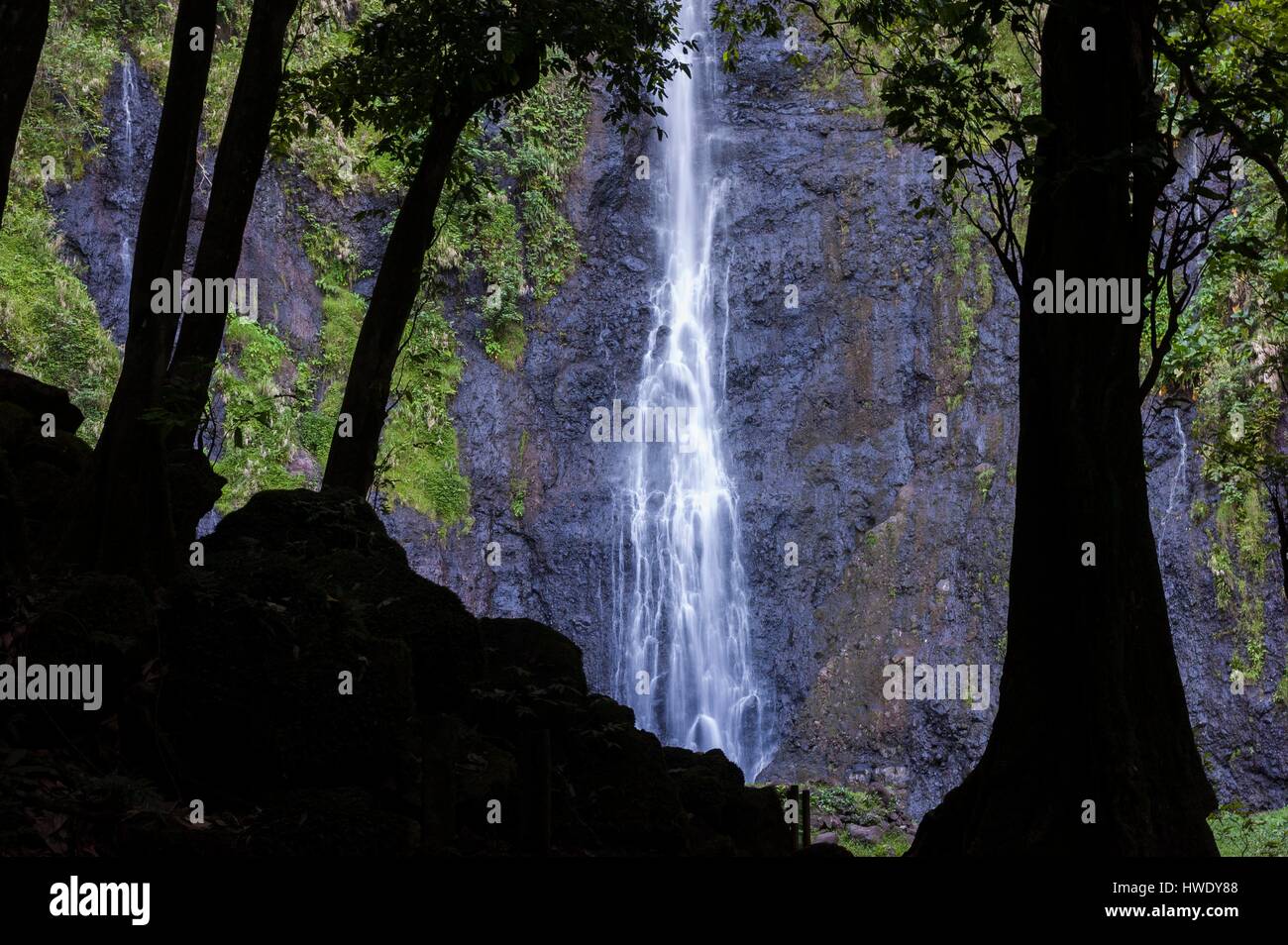 France, French Polynesia, Society Archipelago, Tahiti Island, Faarumai ...