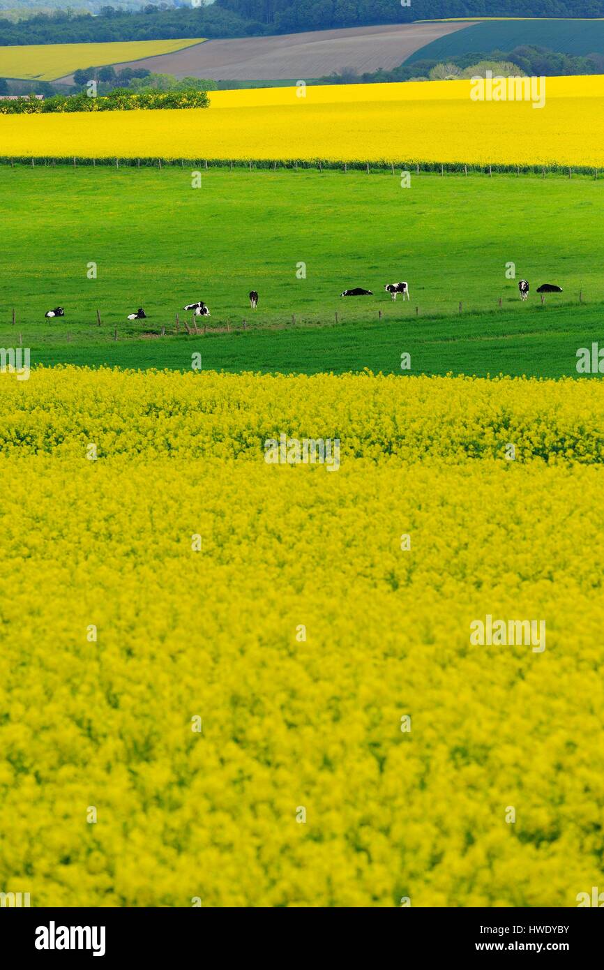 France, Vosges (88), Epinal Stock Photo - Alamy