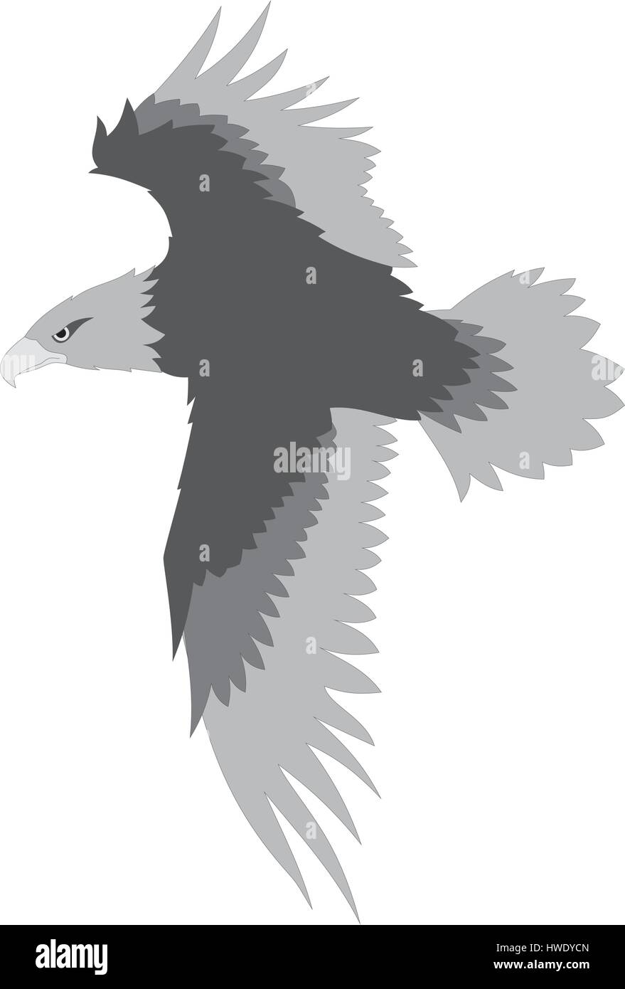 Soaring eagle vector vectors hi-res stock photography and images - Alamy